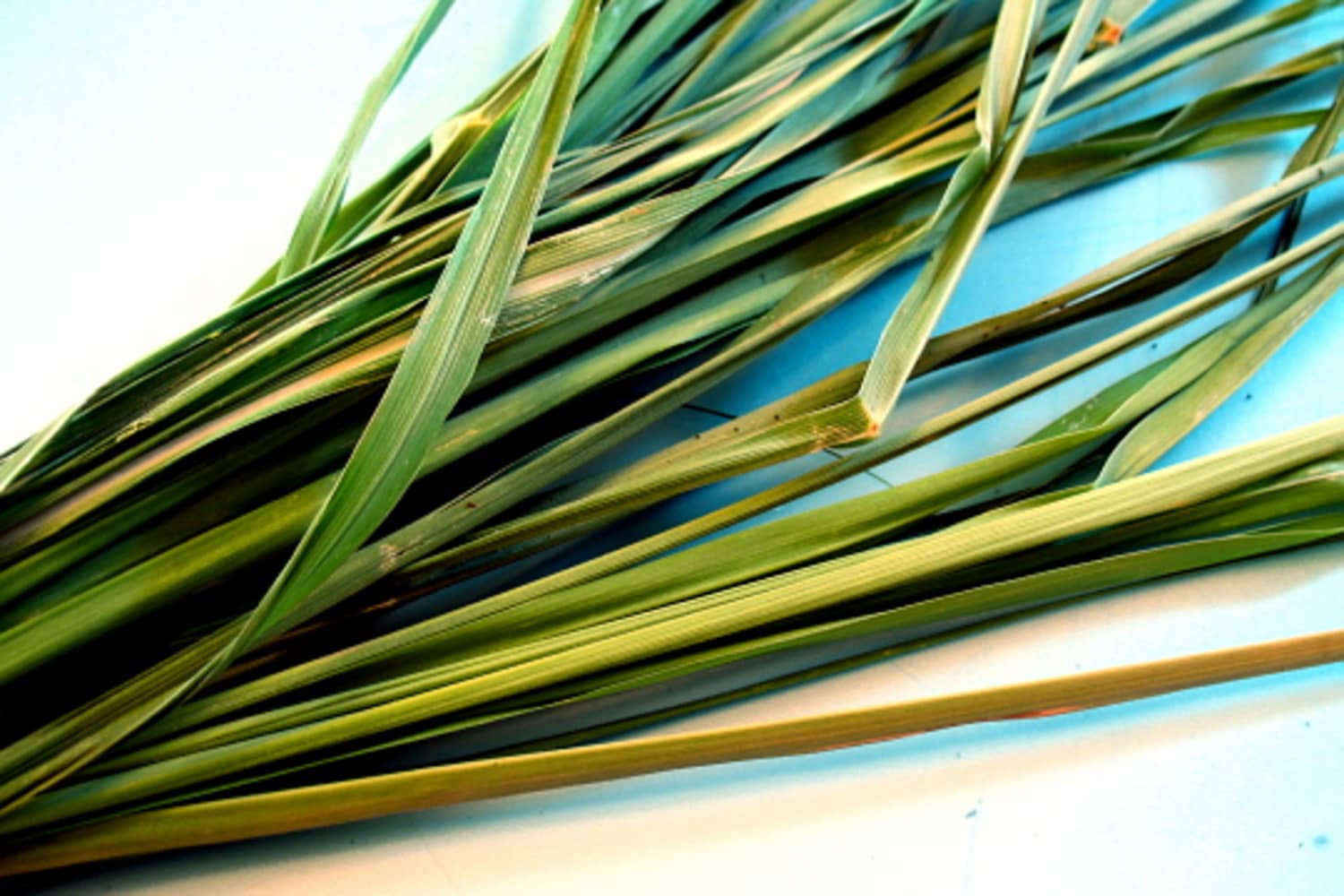 how to prepare lemongrass for beer