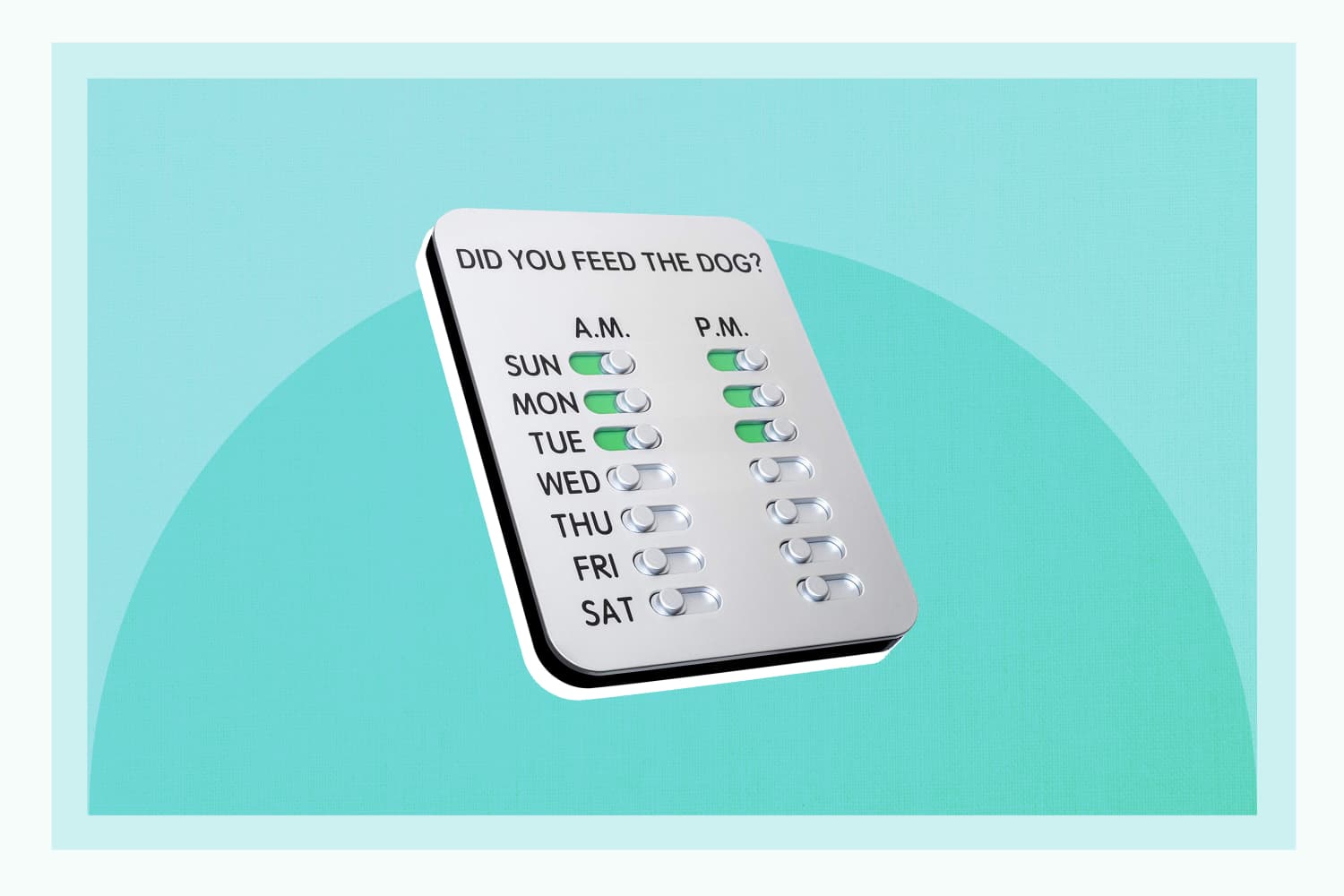 Best Dog Feeding Tracker Amazon | The Kitchn