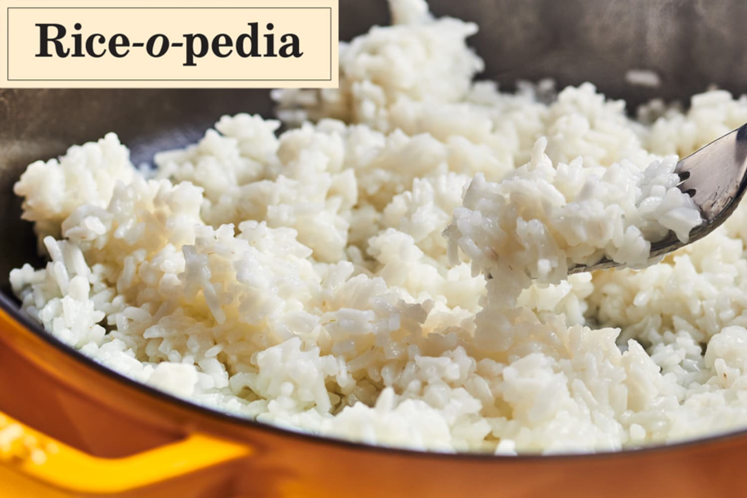 Rice Cooking Guides & Recipes for Every Rice Type: Rice-o-Pedia | The ...