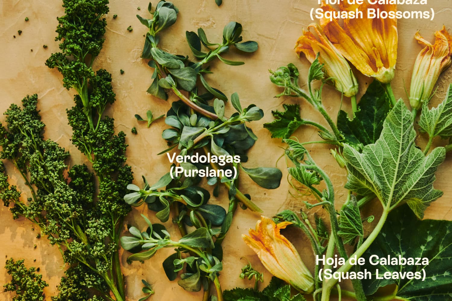 All About Quelites — A Flavorful and Nutritious Cornerstone of Mexican ...