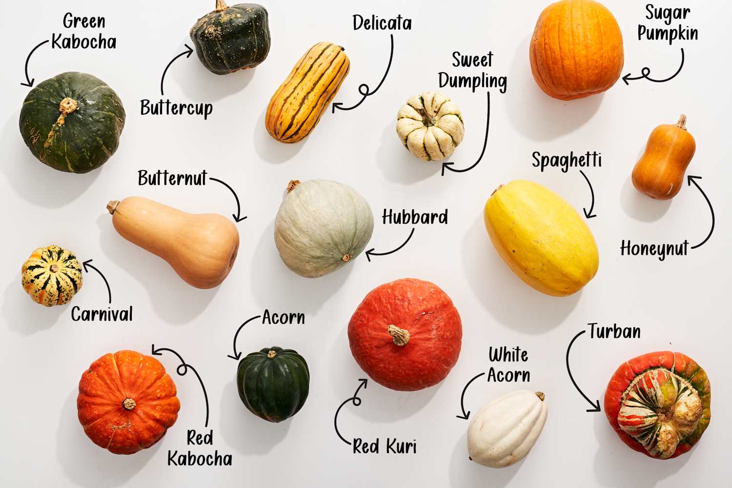 Squash: Ý nghĩa, cách sử dụng và mọi điều cần biết