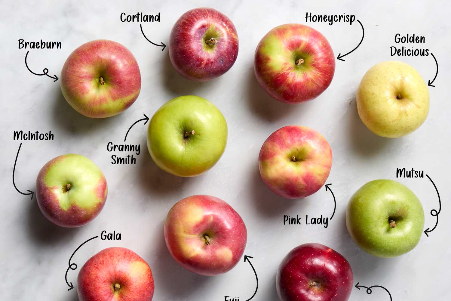 Granny Smith Appels Apple 'Granny Smith' | Thompson & Morgan