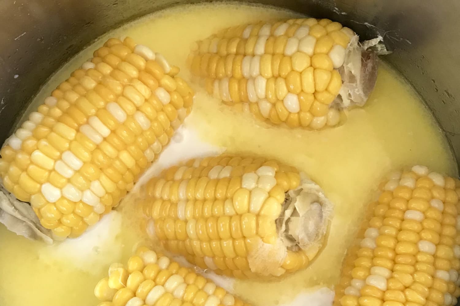 Instant Pot Butter Bath Corn | The Kitchn