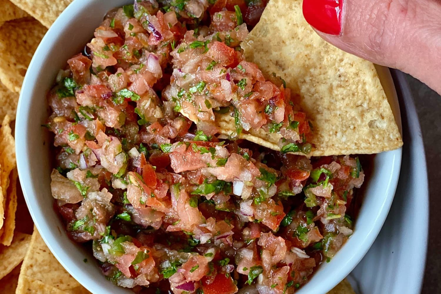 Back to the Roots Chili Planter Kit: Tried & Tested | The Kitchn