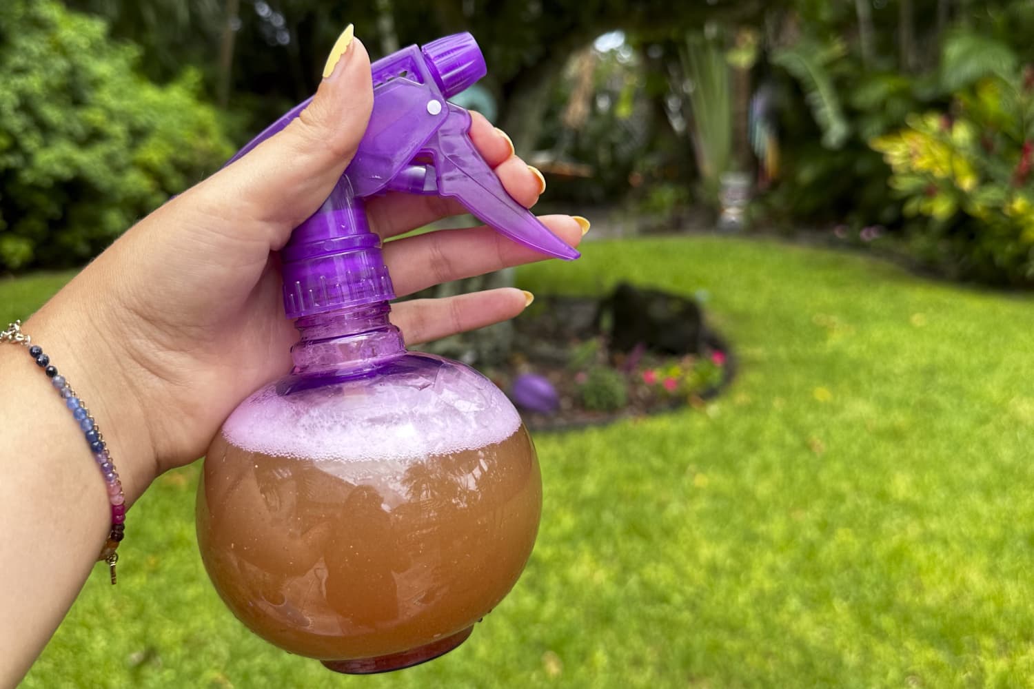 Natural mosquito yard repellent store