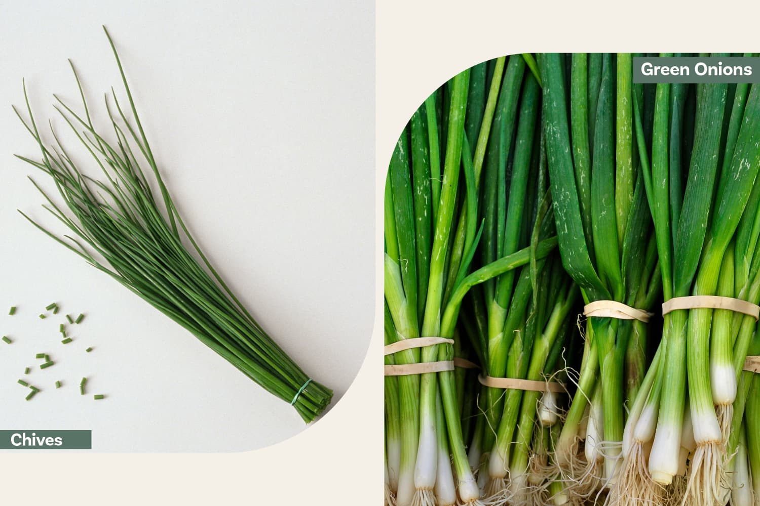 Chives vs. Green Onions: the Biggest Differences | The Kitchn