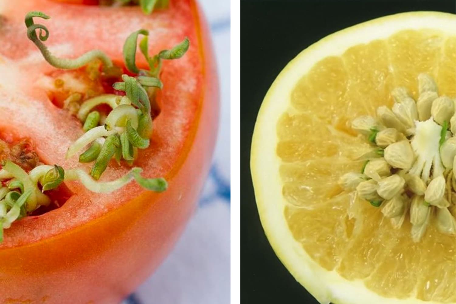 There’s a Scientific Explanation for What’s Happening with These Freaky ...