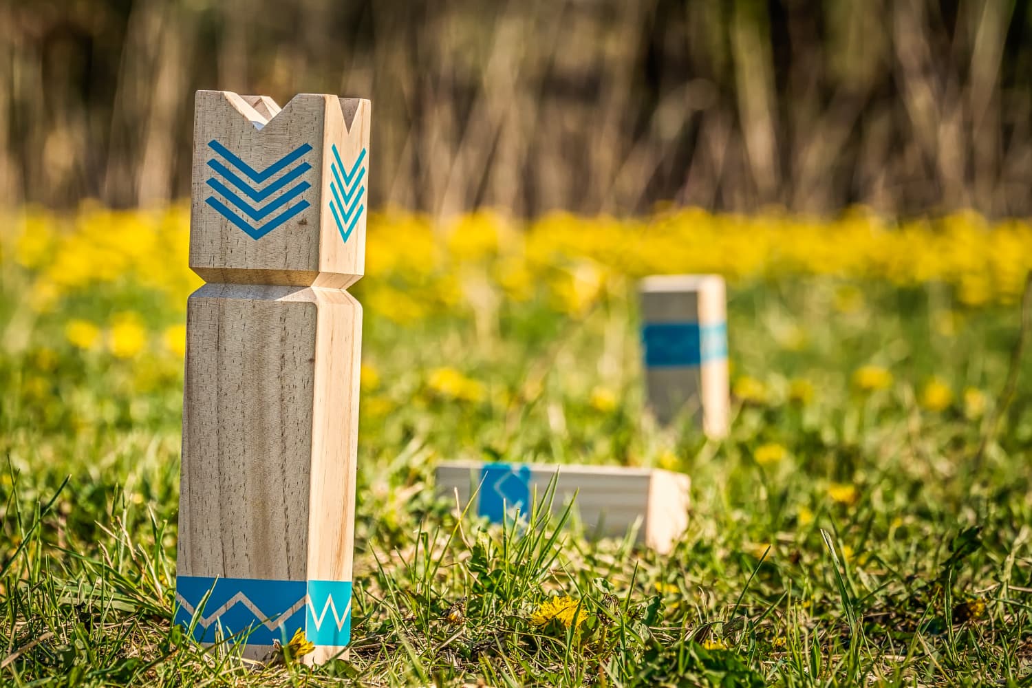 12 Best Yard Games For The Summer 2020 The Kitchn