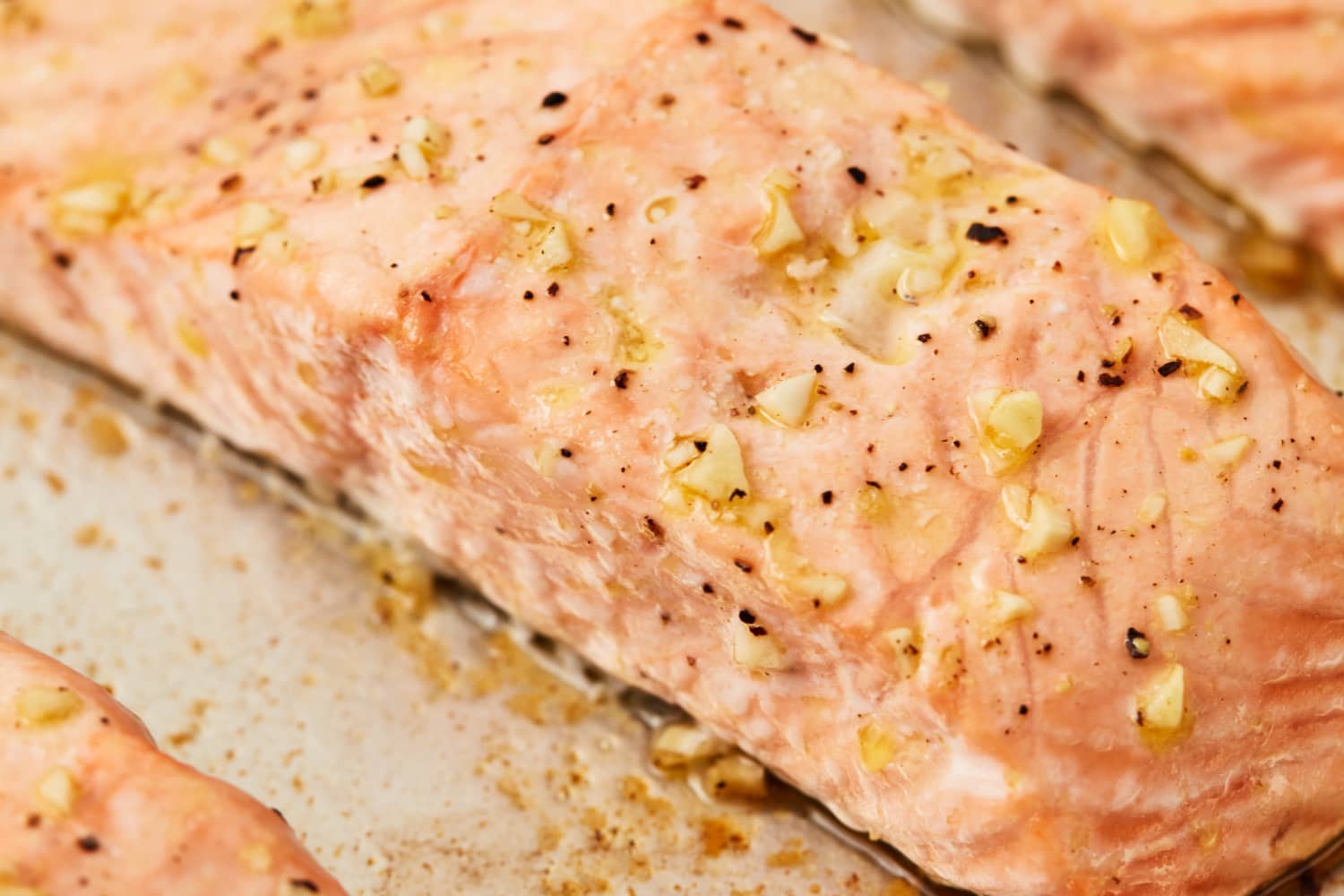 This Ultimate Salmon Tuna Melt Will Take Your Tastebuds on a Cheesy ...