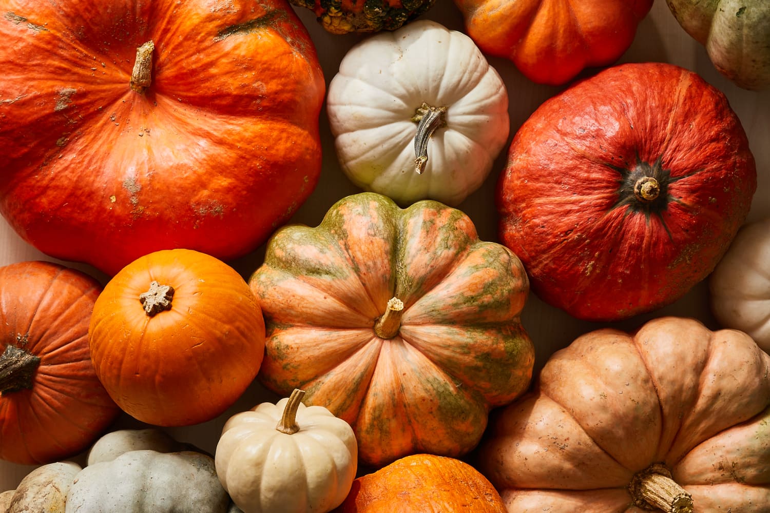 Types of Pumpkins | The Kitchn