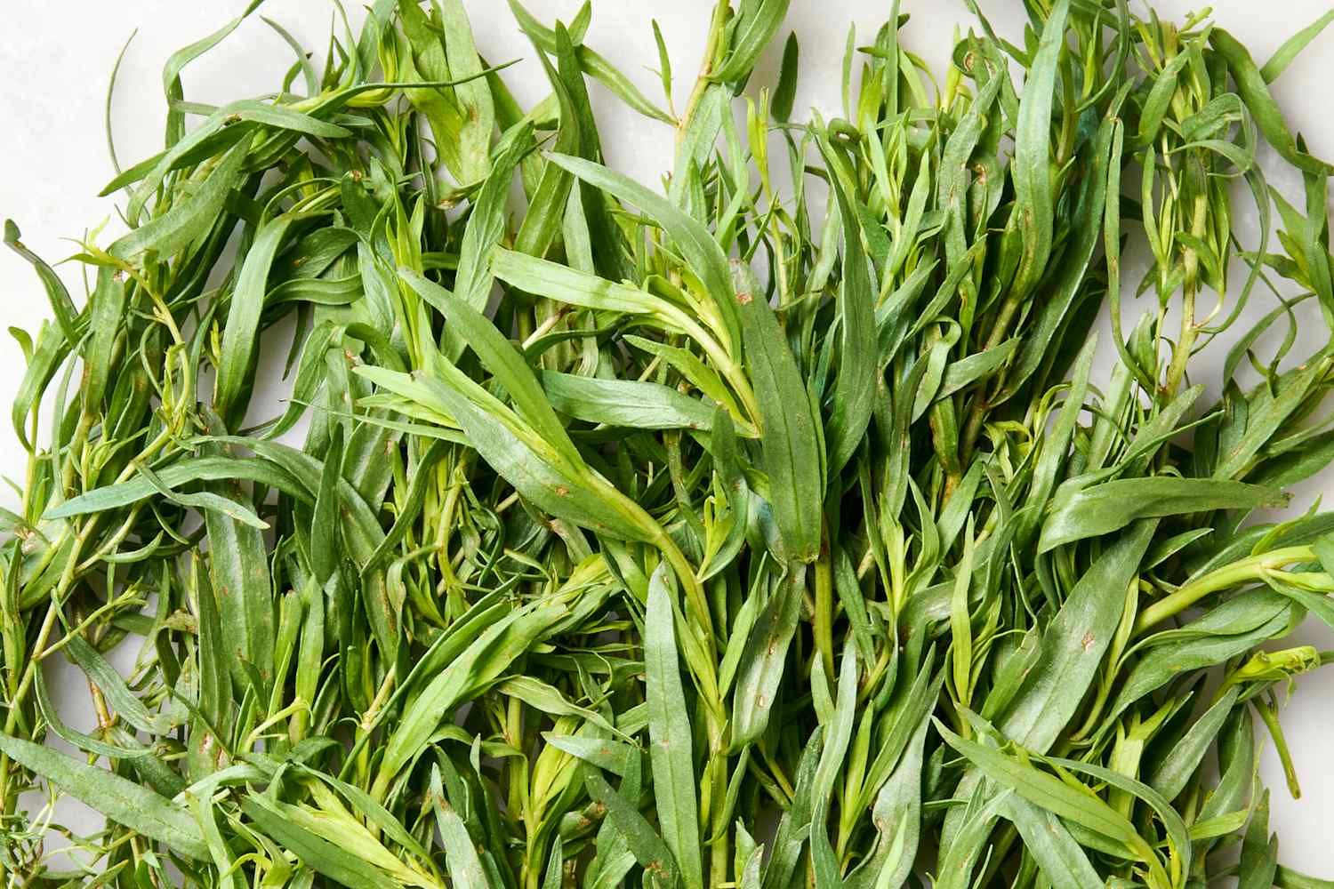 8 Best Tarragon Substitutes (Plus Which to Use When) | The Kitchn