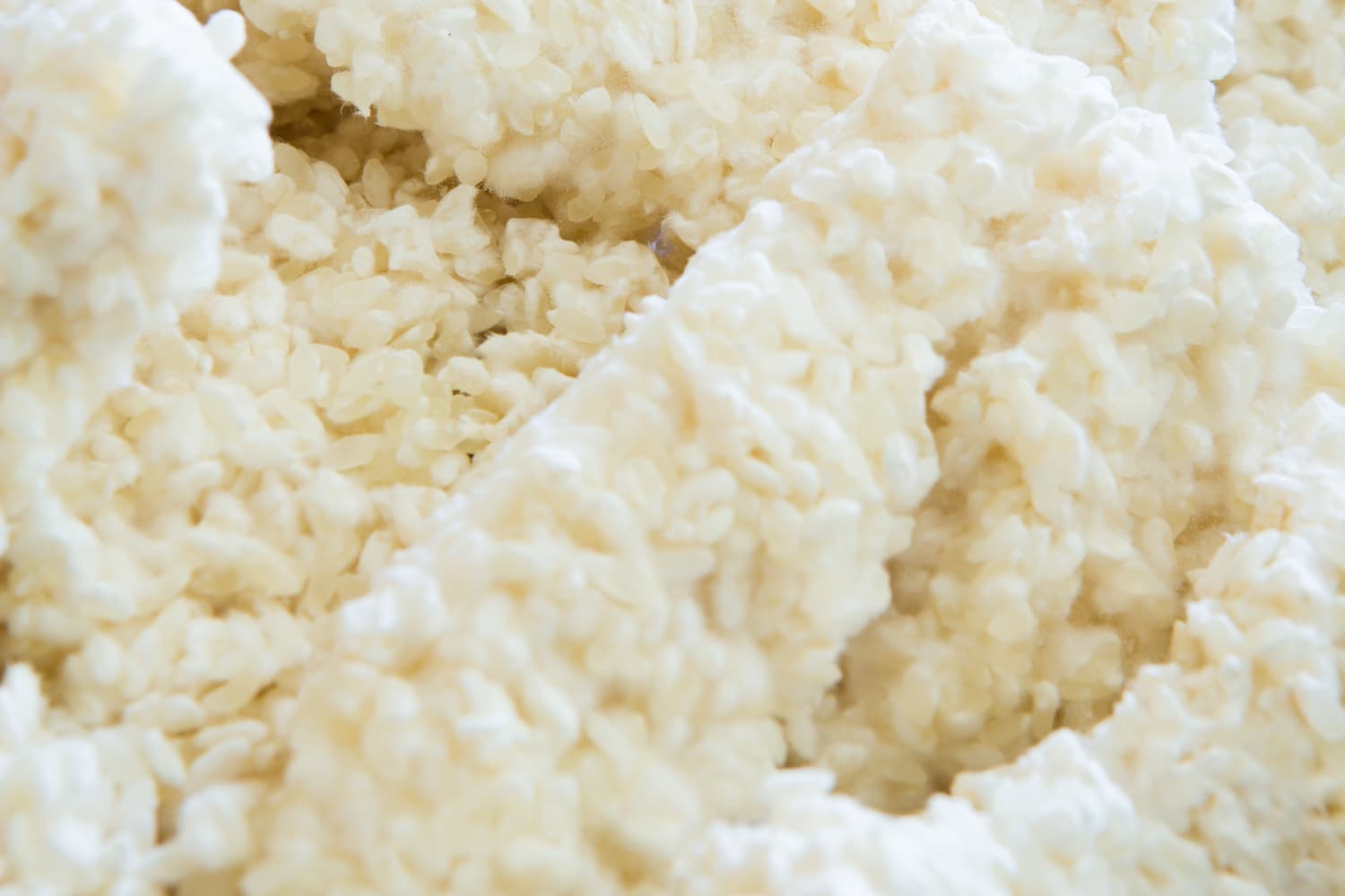Koji Rice A Beginner's Guide To Koji By Sam Cooper Chef Sam Black
