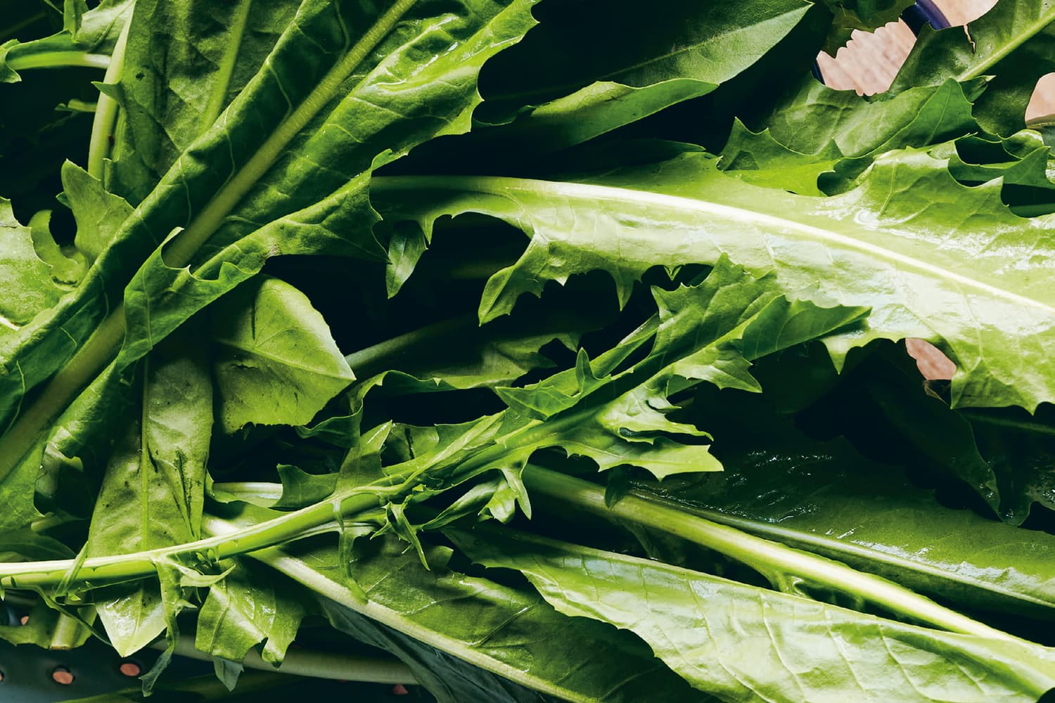 Wild Greens Recipe | The Kitchn