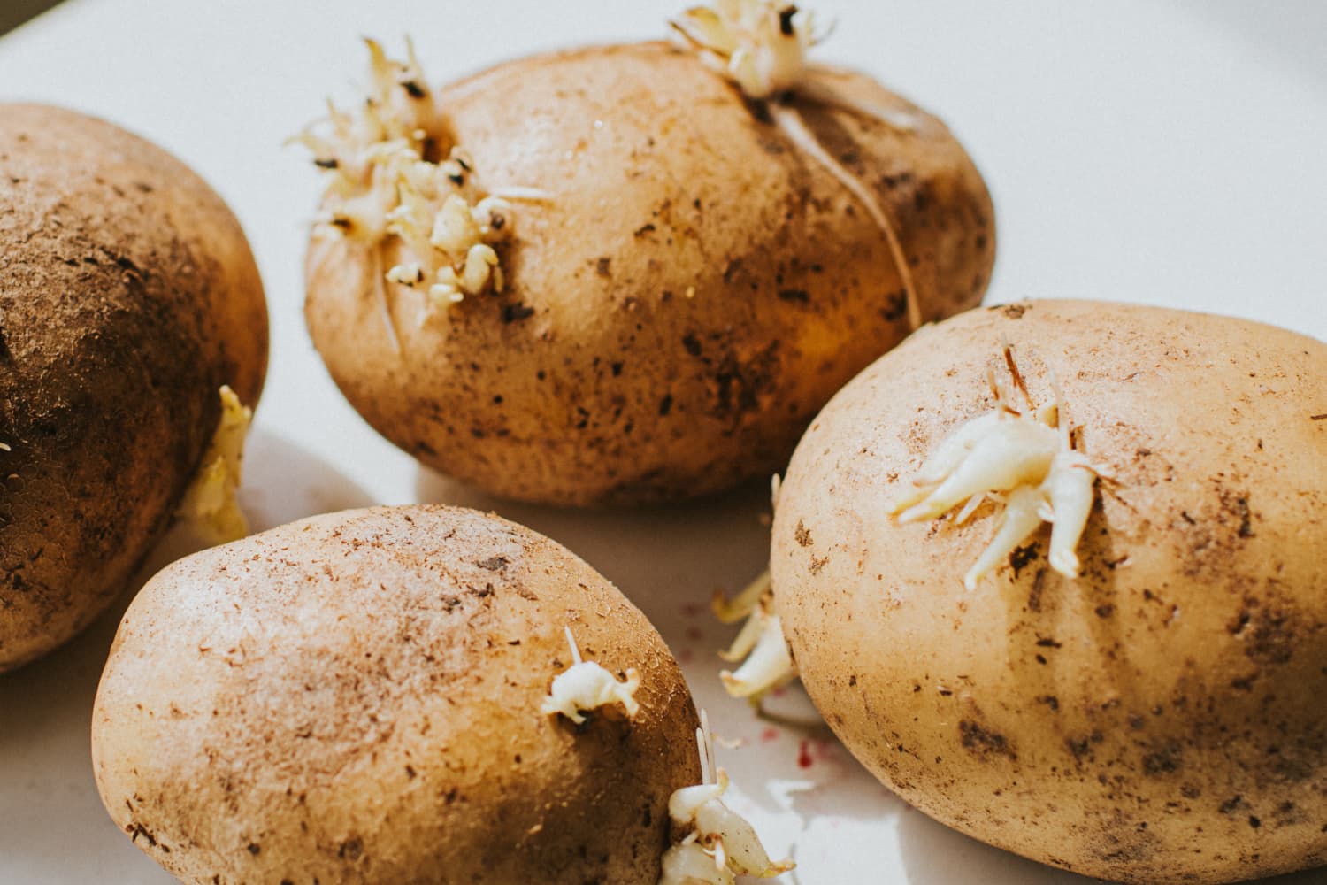 how to make a potato grow eyes