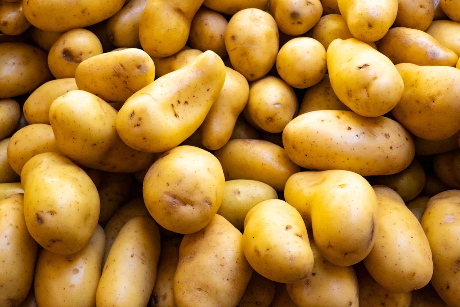 How to Pick the Best Potatoes, According to Farmers | The Kitchn