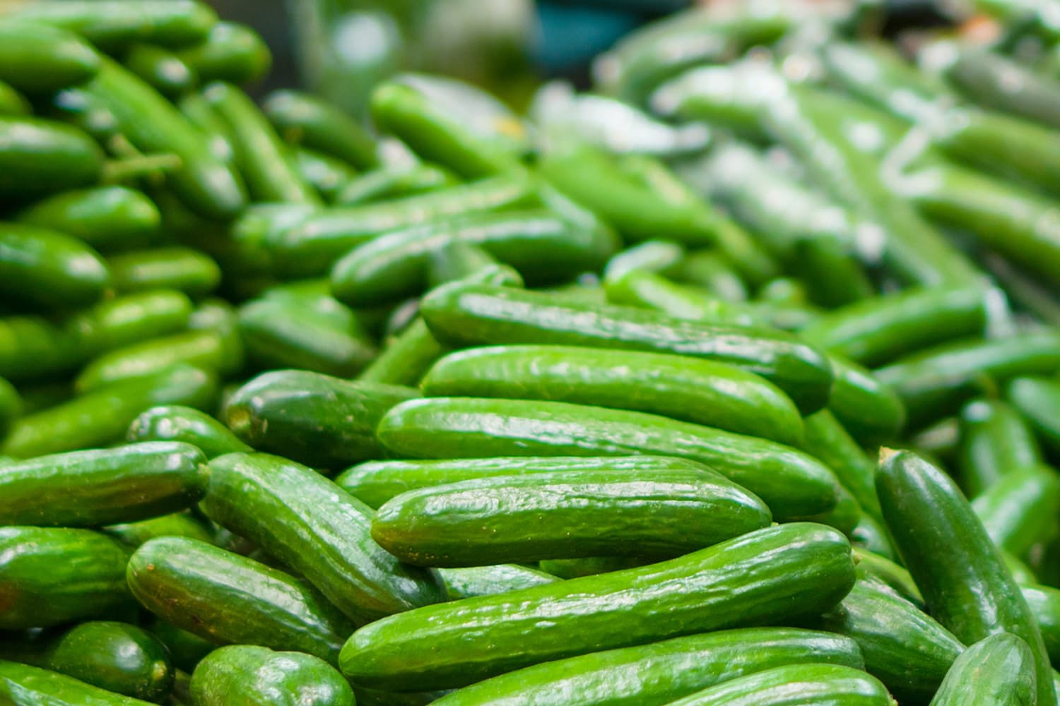 How to Pick Out the Best Cucumbers: the “Yellow Strip” Rule | The Kitchn