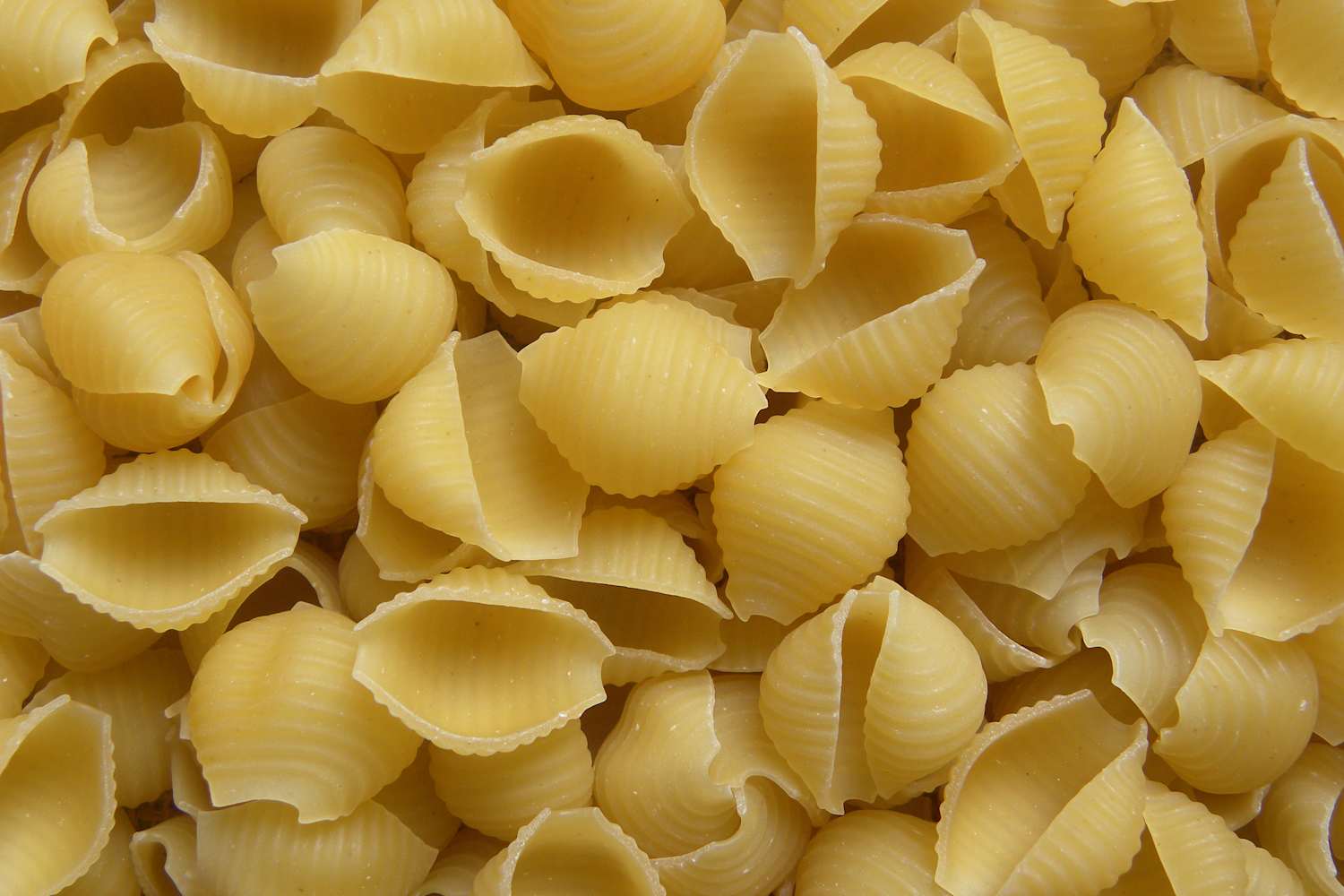I Just Discovered My New Favorite Trick for Cooking Pasta Shells | The ...
