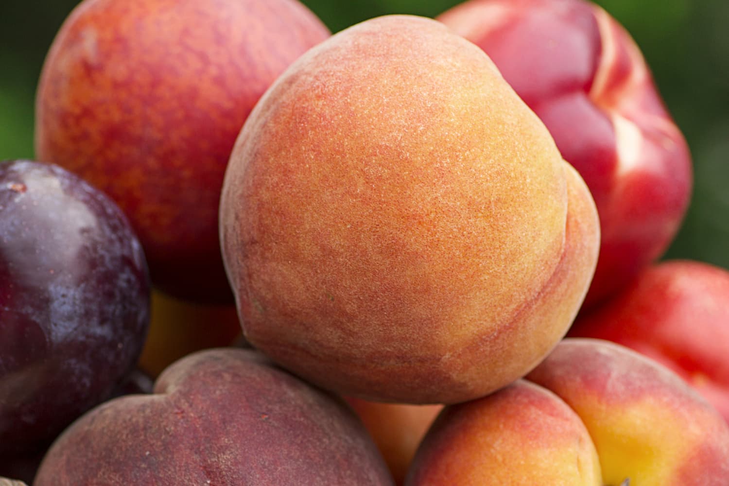 Listeria Outbreak Linked to Peaches, Plums and Nectarines | The Kitchn