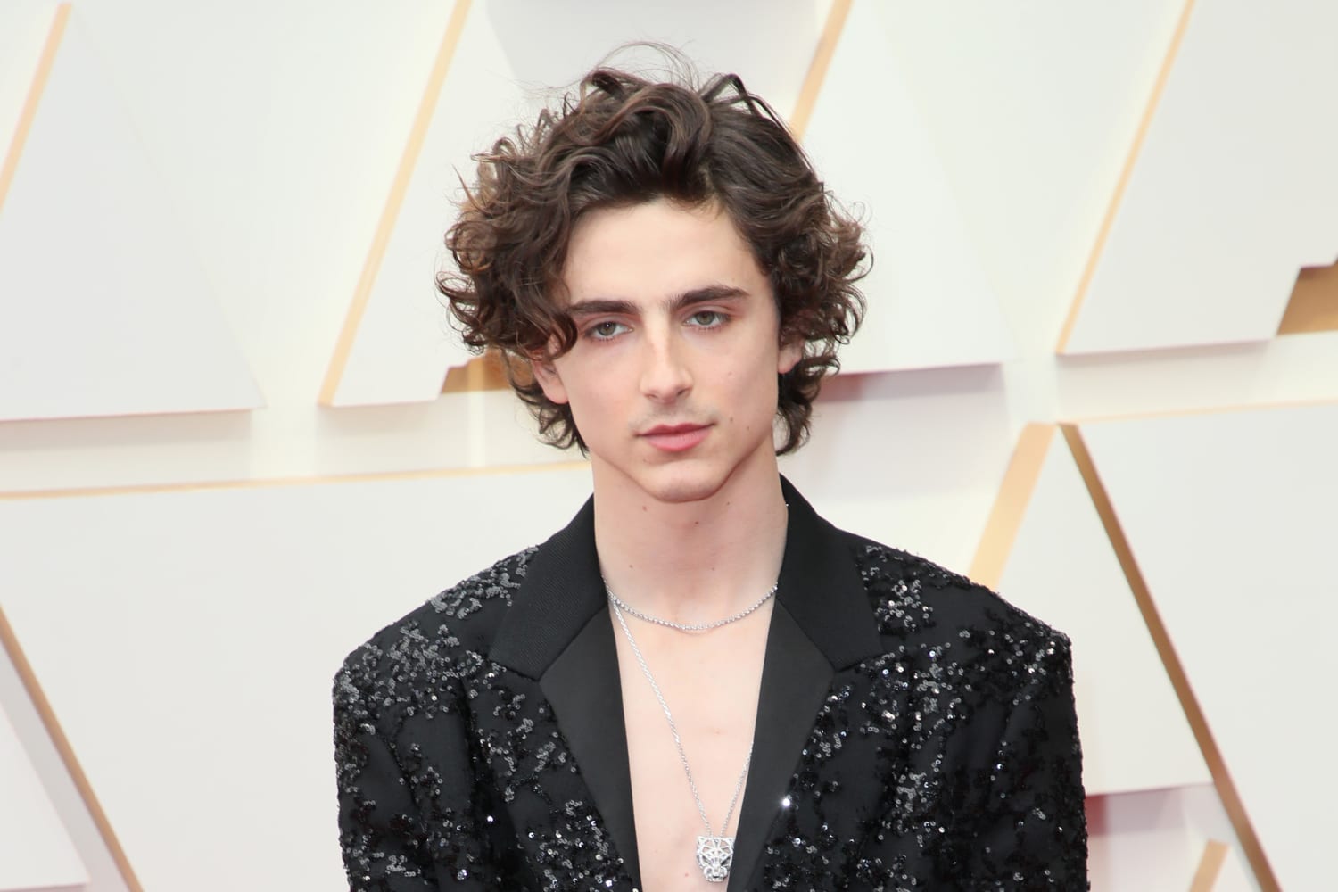 Timothée Chalamet's New Home Has One of the Most Gorgeous Kitchens ...