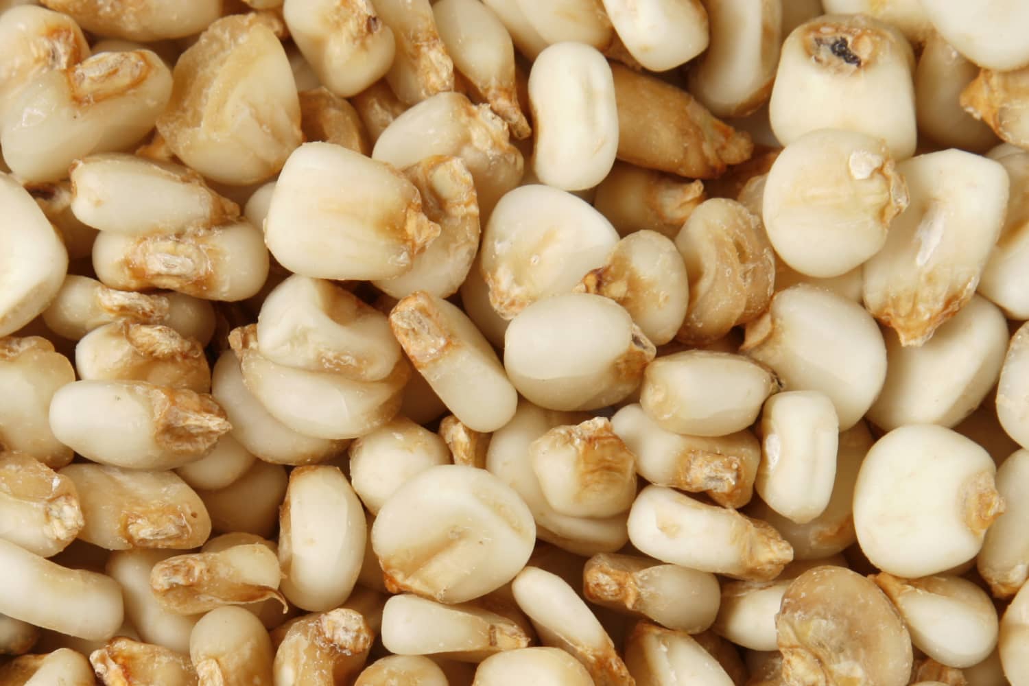 What is Nixtamalization? | The Kitchn