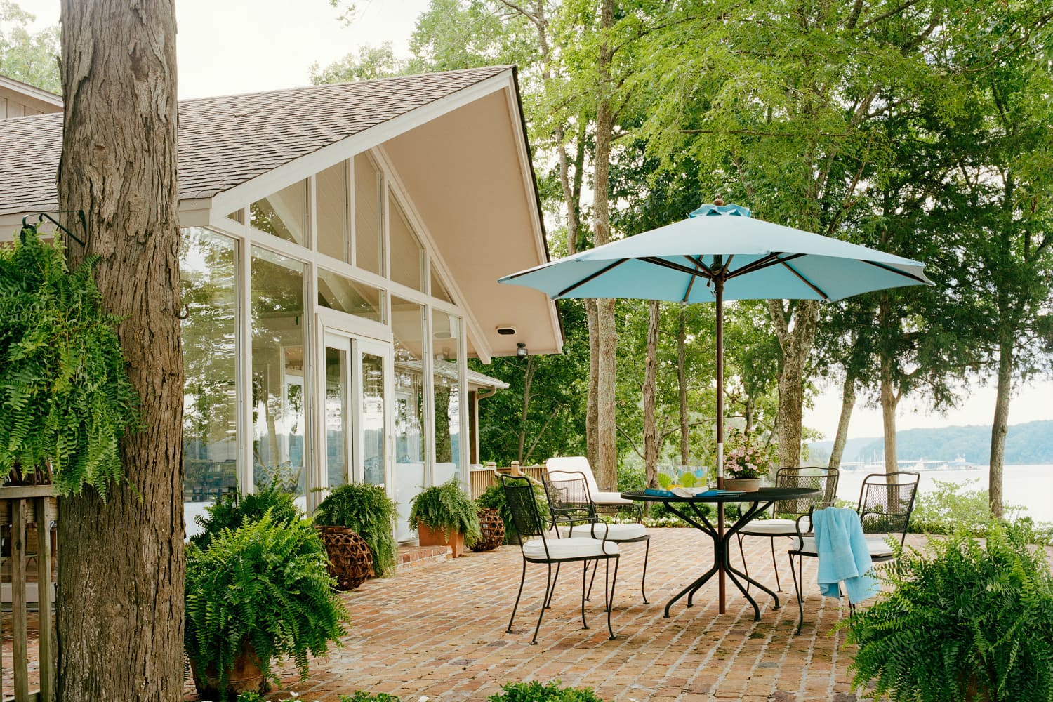 How to Get Rid of Wasp Nests (Without Getting Stung) | Apartment Therapy