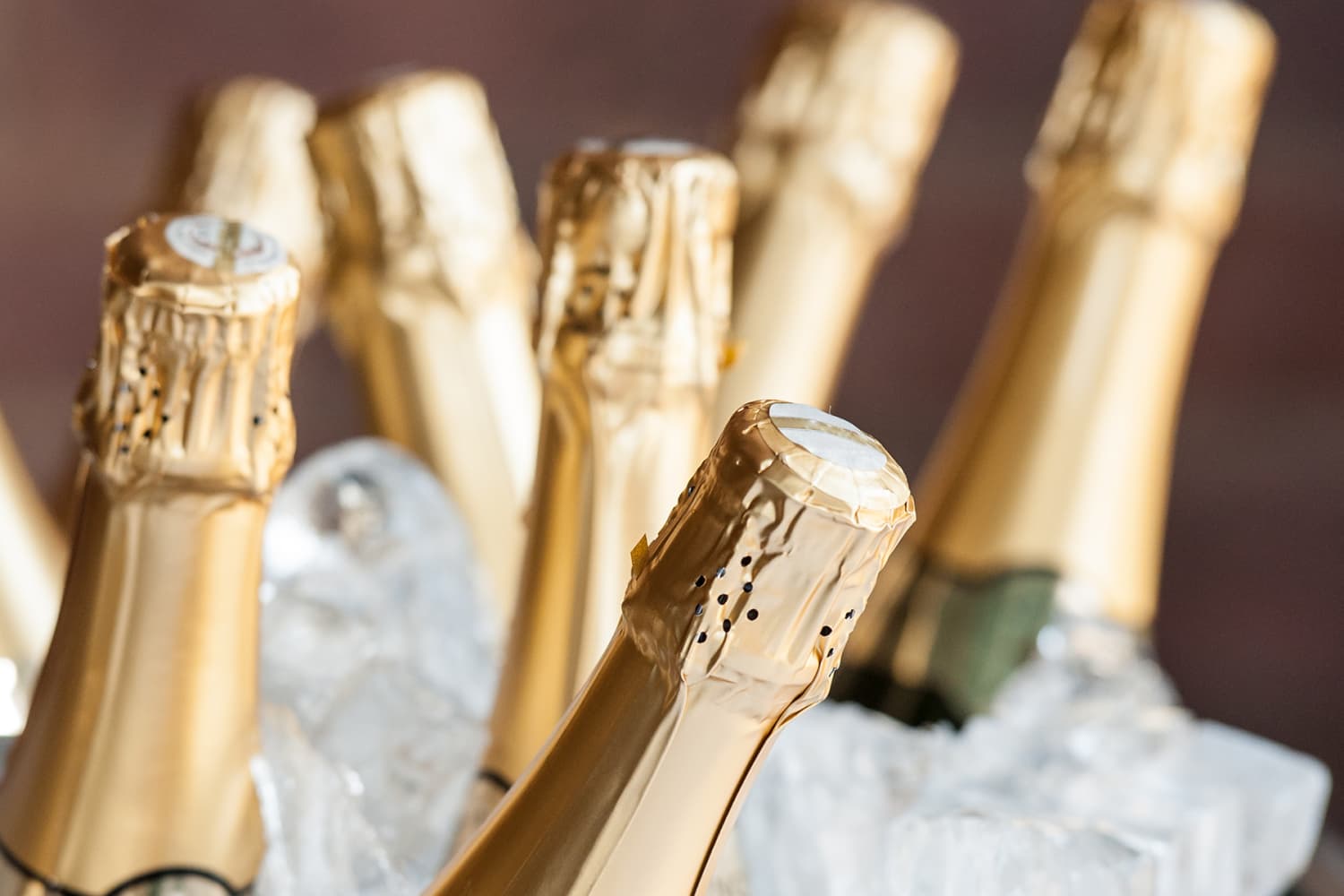 This Floral Champagne Bucket Mold Is the Perfect Mother’s Day ...