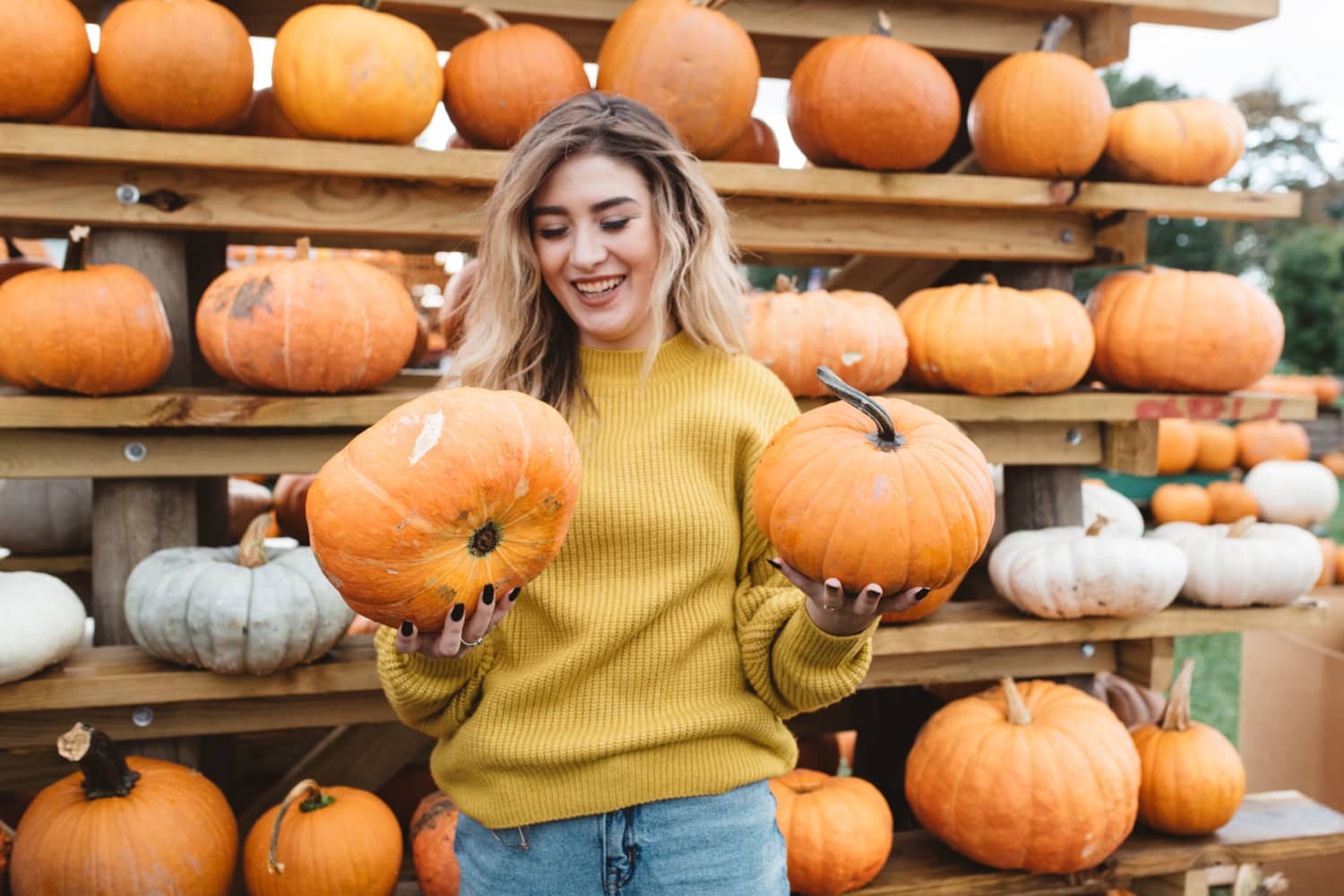 50 Cheap Or Free Things To Do In Fall Apartment Therapy