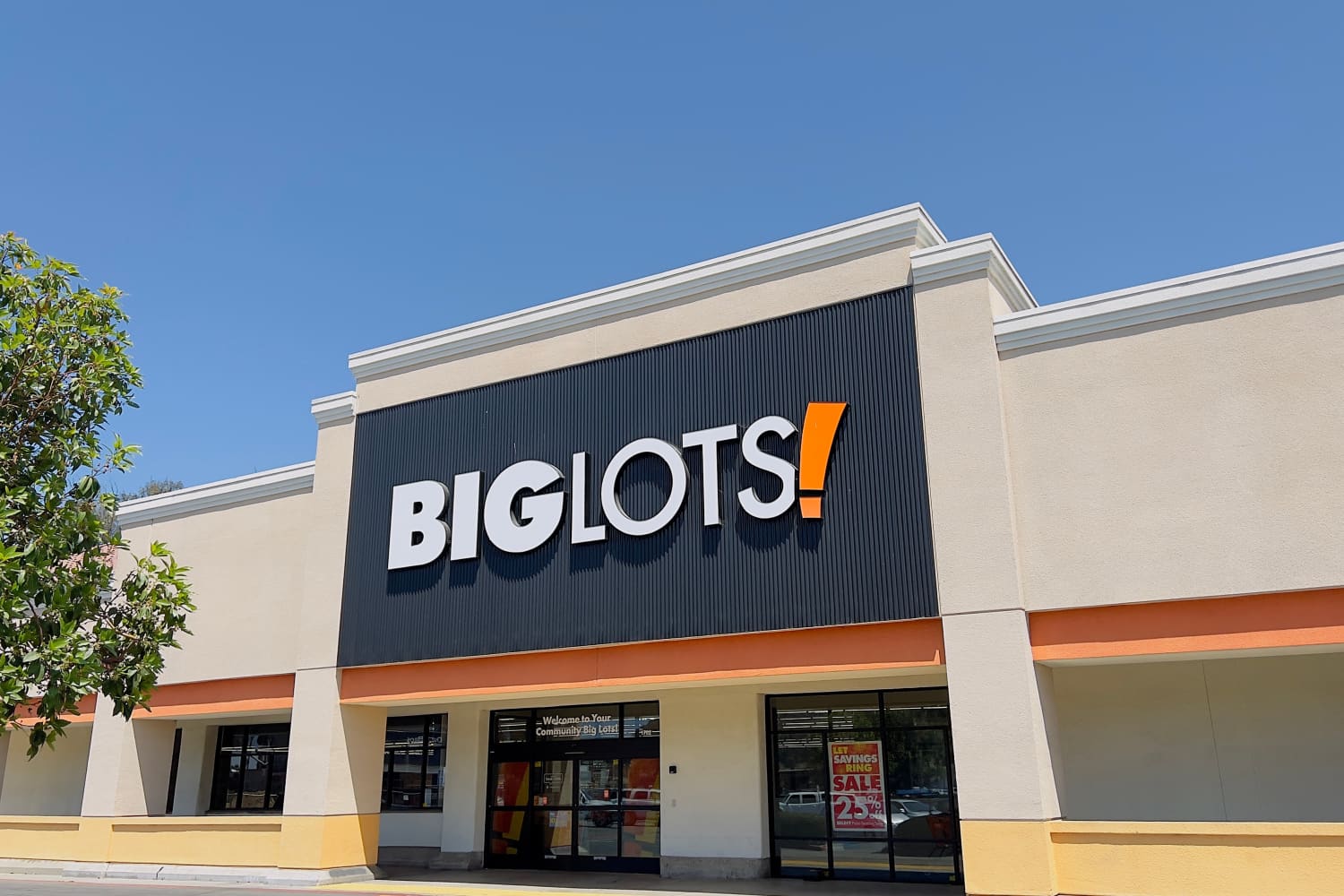 The Big Lots $13 Storage Box You’ll Want for Every Room | Apartment Therapy