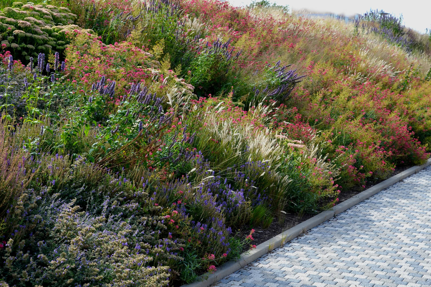 Alternatives to Grass Lawns: 5 Sustainable Options to Try | Apartment ... Alternatives to Grass Lawns: 5 Sustainable Options to Try | Apartment ...