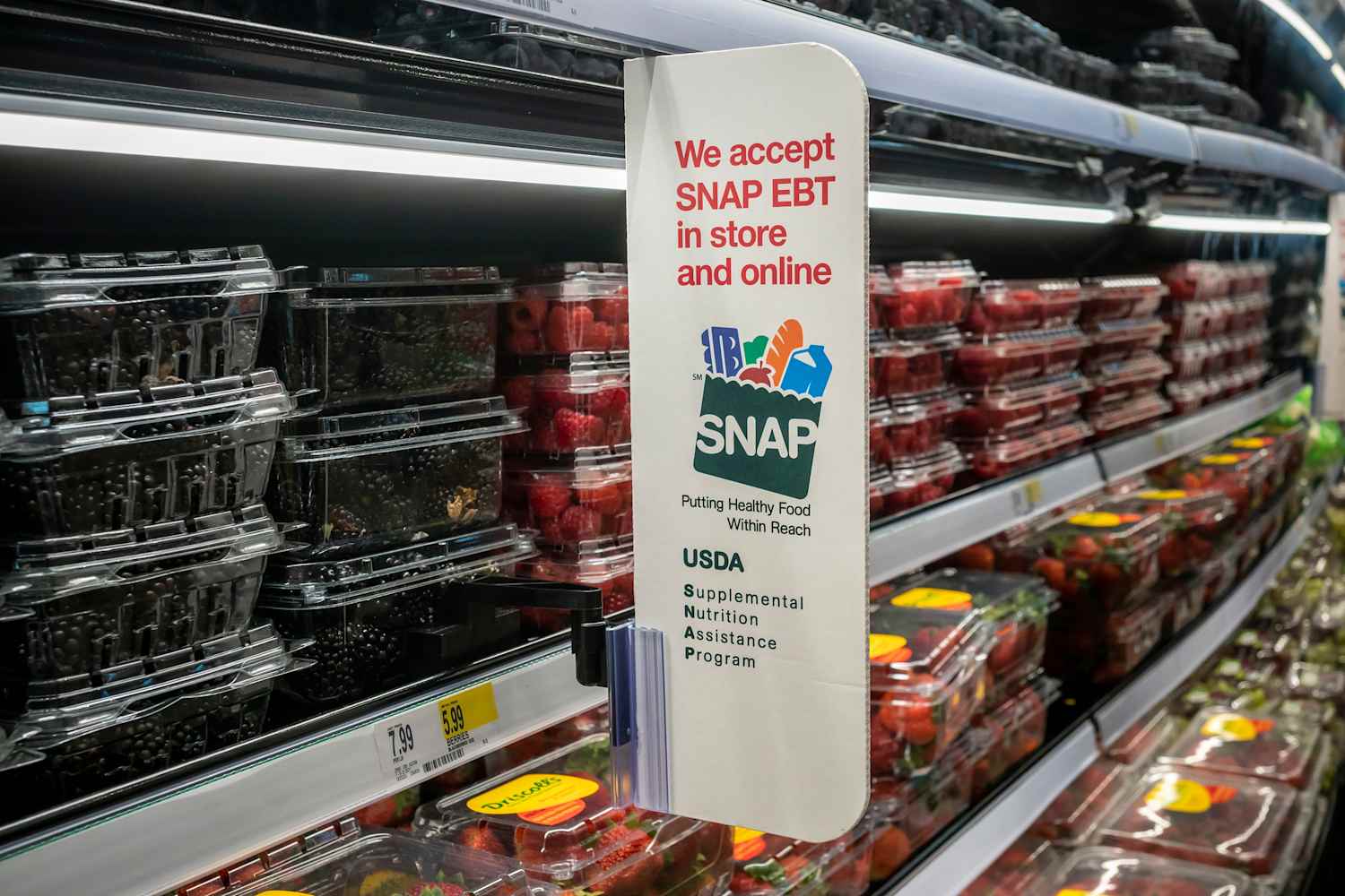 The SNAP Cuts Are Coming — I Asked 6 State Reps What That Means for ...