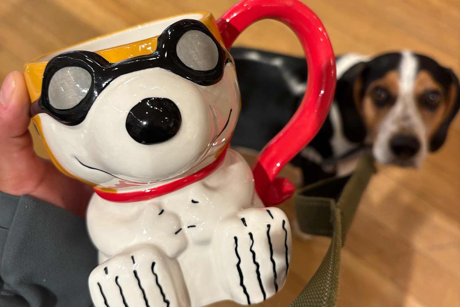 This Snoopy Mug Is the Most Adorable Thing in My Kitchen | The Kitchn