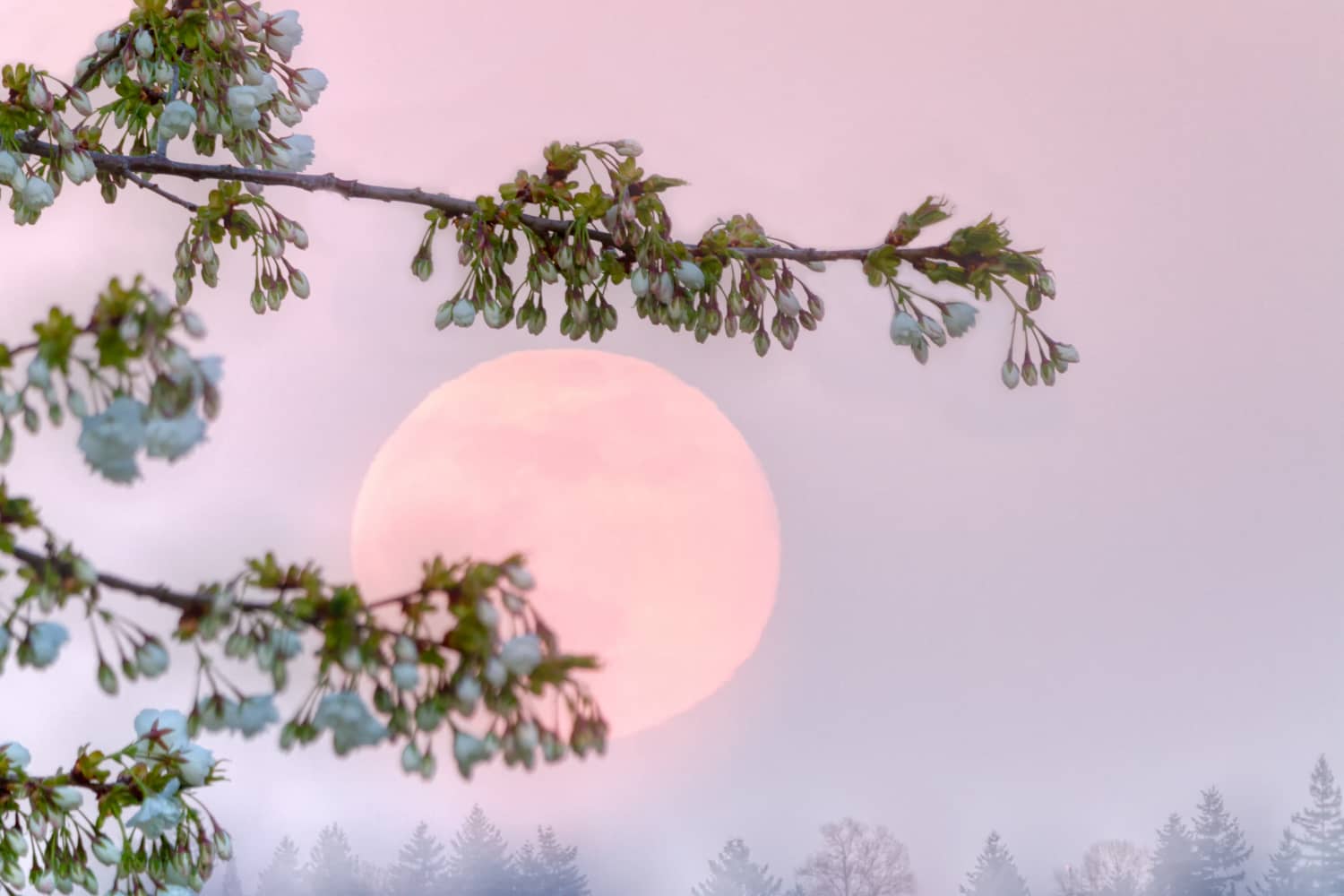 What You Need to Know About May’s Full Flower Supermoon, Plus Other ...