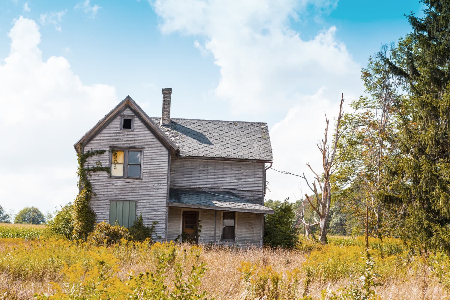 We’re All So Suddenly Obsessed With Murder Houses—Here’s Why – PushUP24