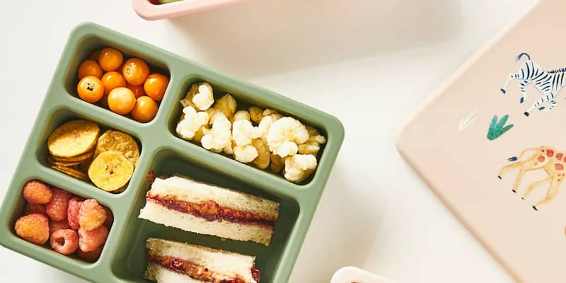 school bento box