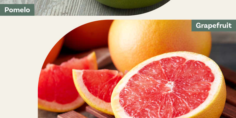 pomelo category