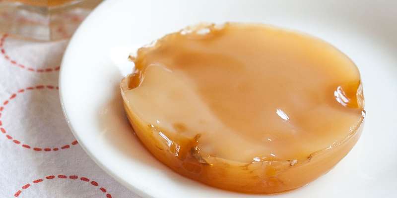 scoby mushroom