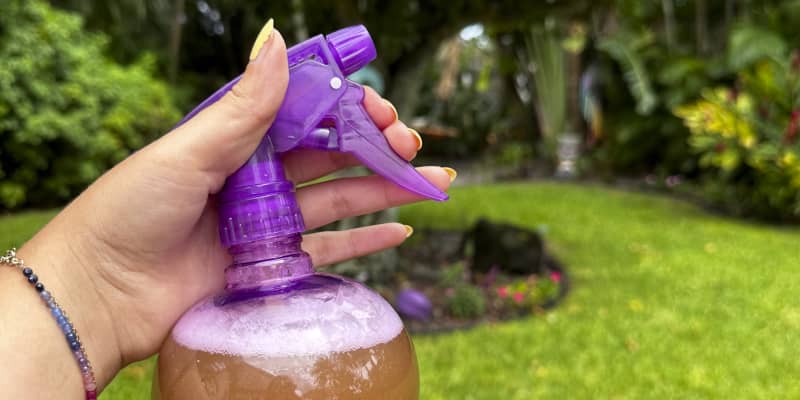 What mosquito repellent works best store
