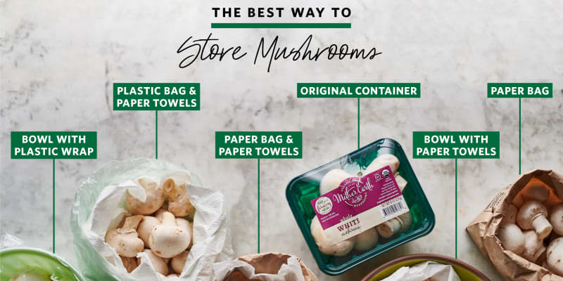 We Tested 6 Methods for Storing Mushrooms and Found a Clear Winner ...