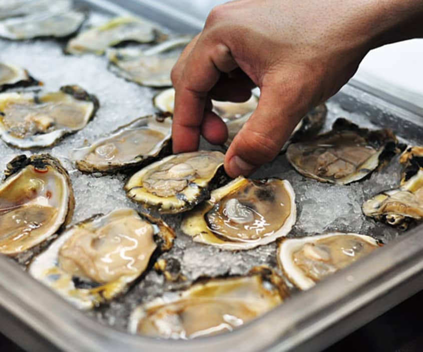 how to make oysters easier to open