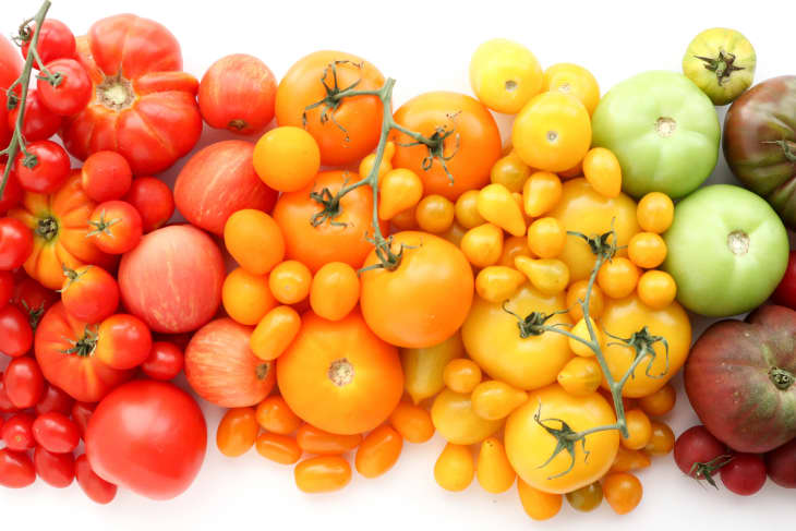 A Visual Celebration of Tomatoes of Every Color | The Kitchn