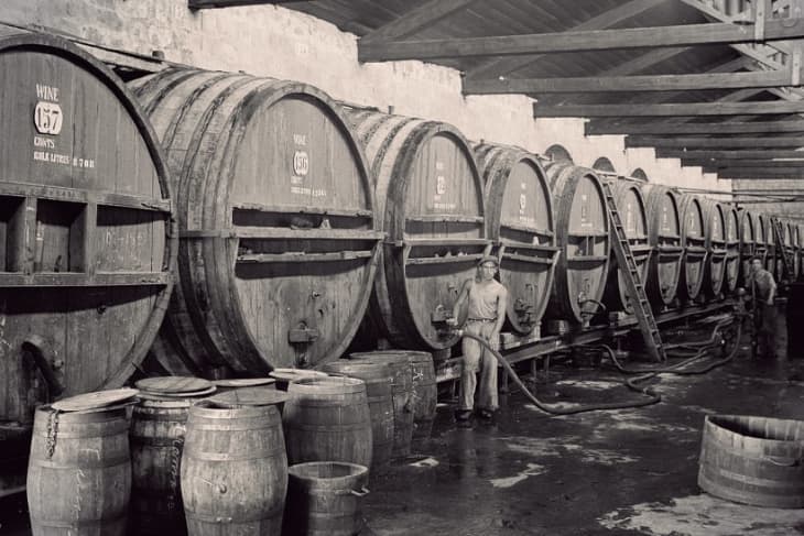 Fermentation Was Probably the First Great Moment in Food Science | The ...