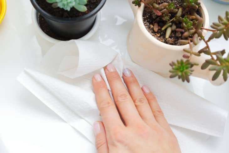 This Is What Your Paper Towel Use Says About Your Personality Kitchn