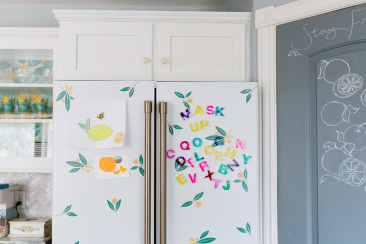 This $5 Smart Organizer Keeps My Family's Fridge Clutter-Free | The Kitchn