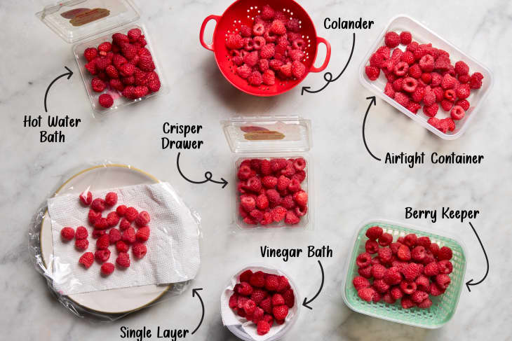 The Best Way to Store Raspberries to Last for 2 Weeks (We Tested 7 ...