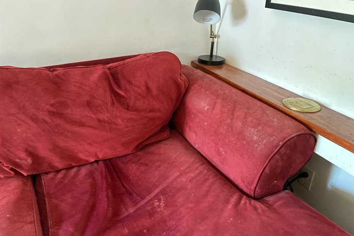 This Upholstery-Cleaning TikTok Hack Revived My Filthy Couch — Just ...