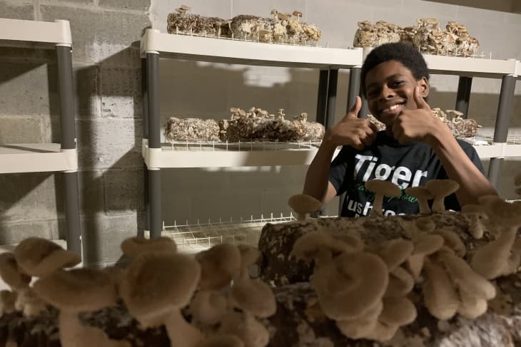 This 12-Year-Old Is Running a Mushroom Farm in His Basement | The Kitchn