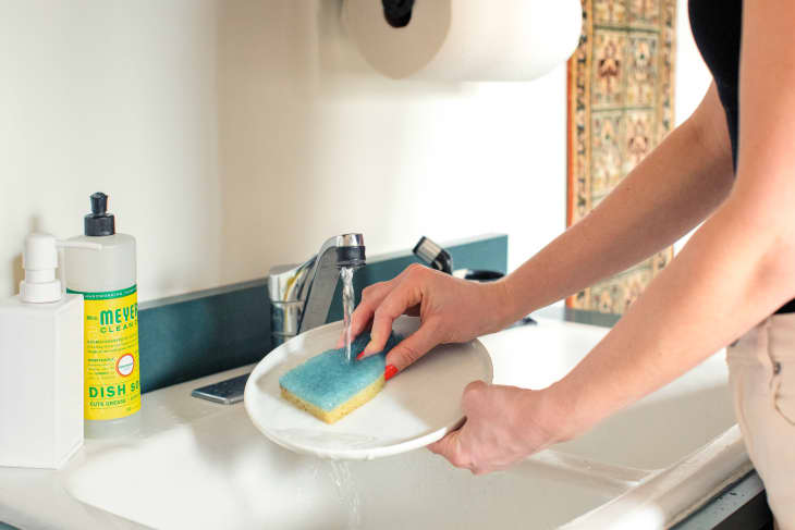 The Last Thing You Should Do With a Kitchen Sponge | The Kitchn