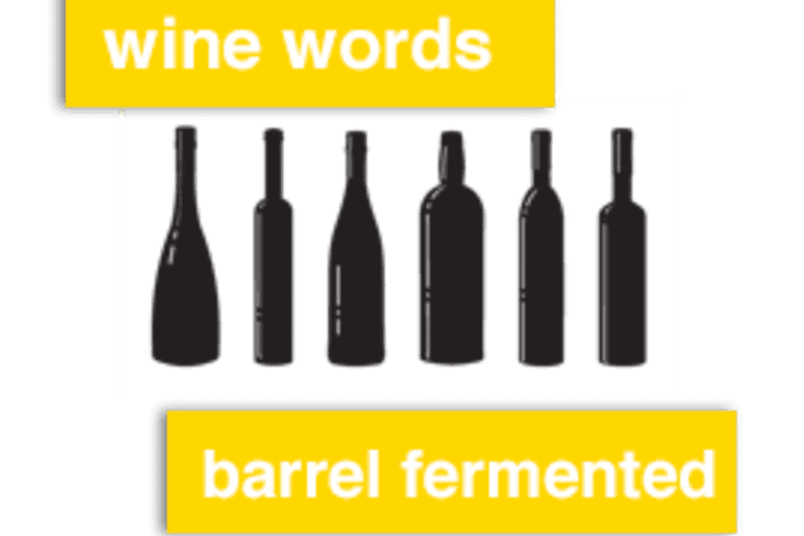 Wine Words: Barrel Fermented | The Kitchn