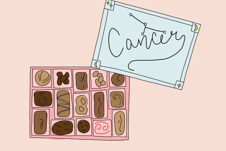 5 Chocolate Treats for Your Zodiac Sign: Cancer | The Kitchn