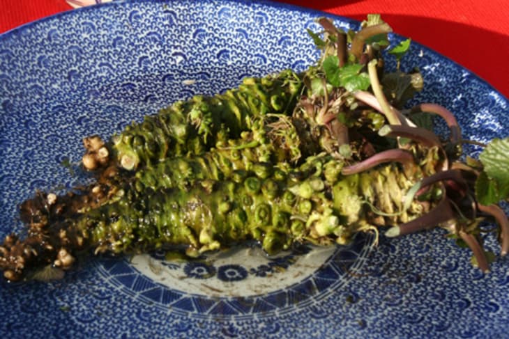 Try This: Fresh Wasabi Root | The Kitchn